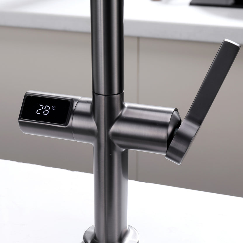 Pull-Out Kitchen Sink Faucet with Temperature Display – Lefton Home