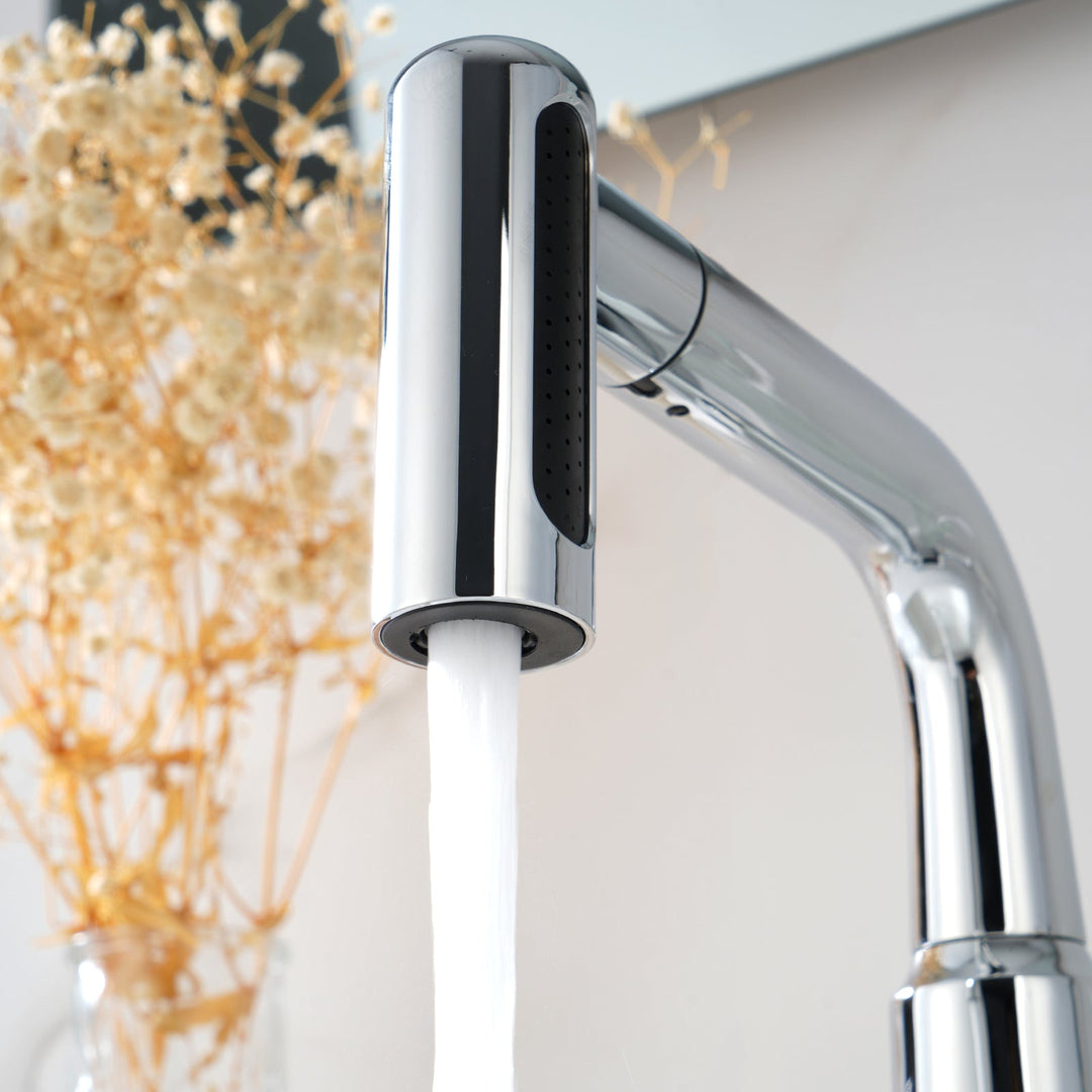 Lefton Single-Hole Pull-Out Liftable Bathroom Faucet-BF2209 – Lefton Home