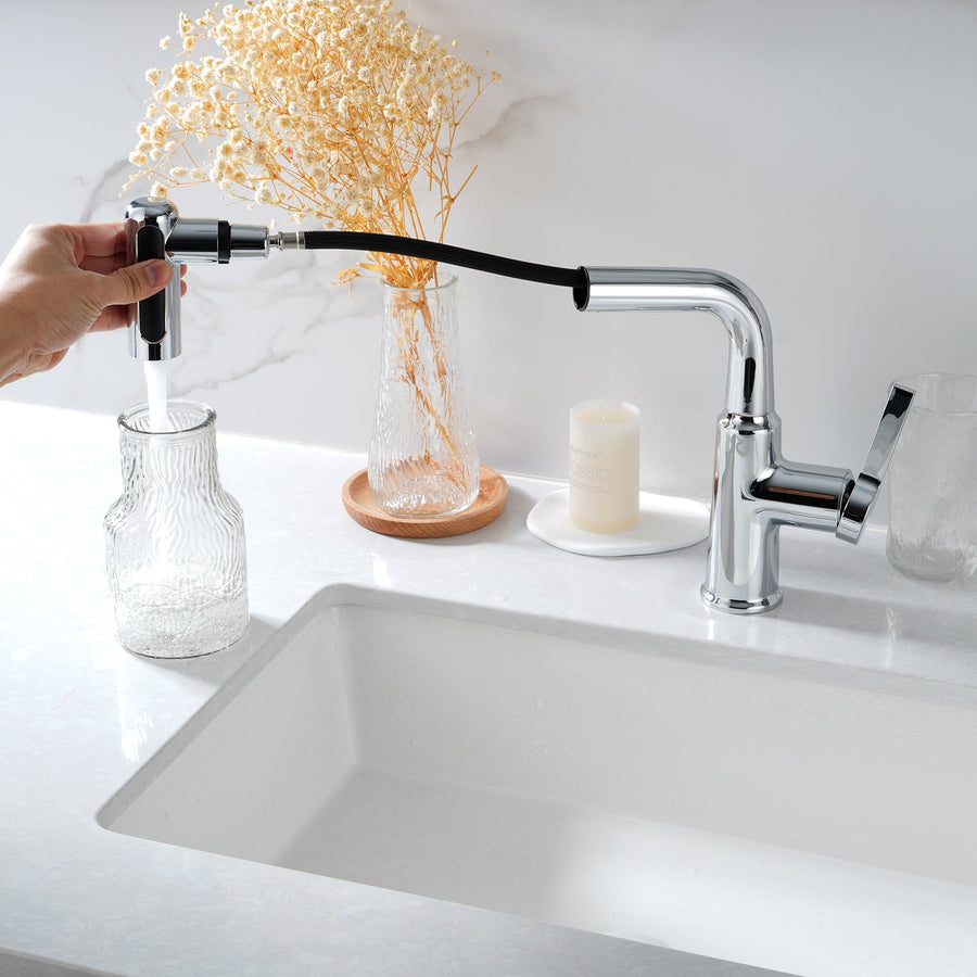 Lefton Single-Hole Pull-Out Liftable Bathroom Faucet-BF2209 – Lefton Home