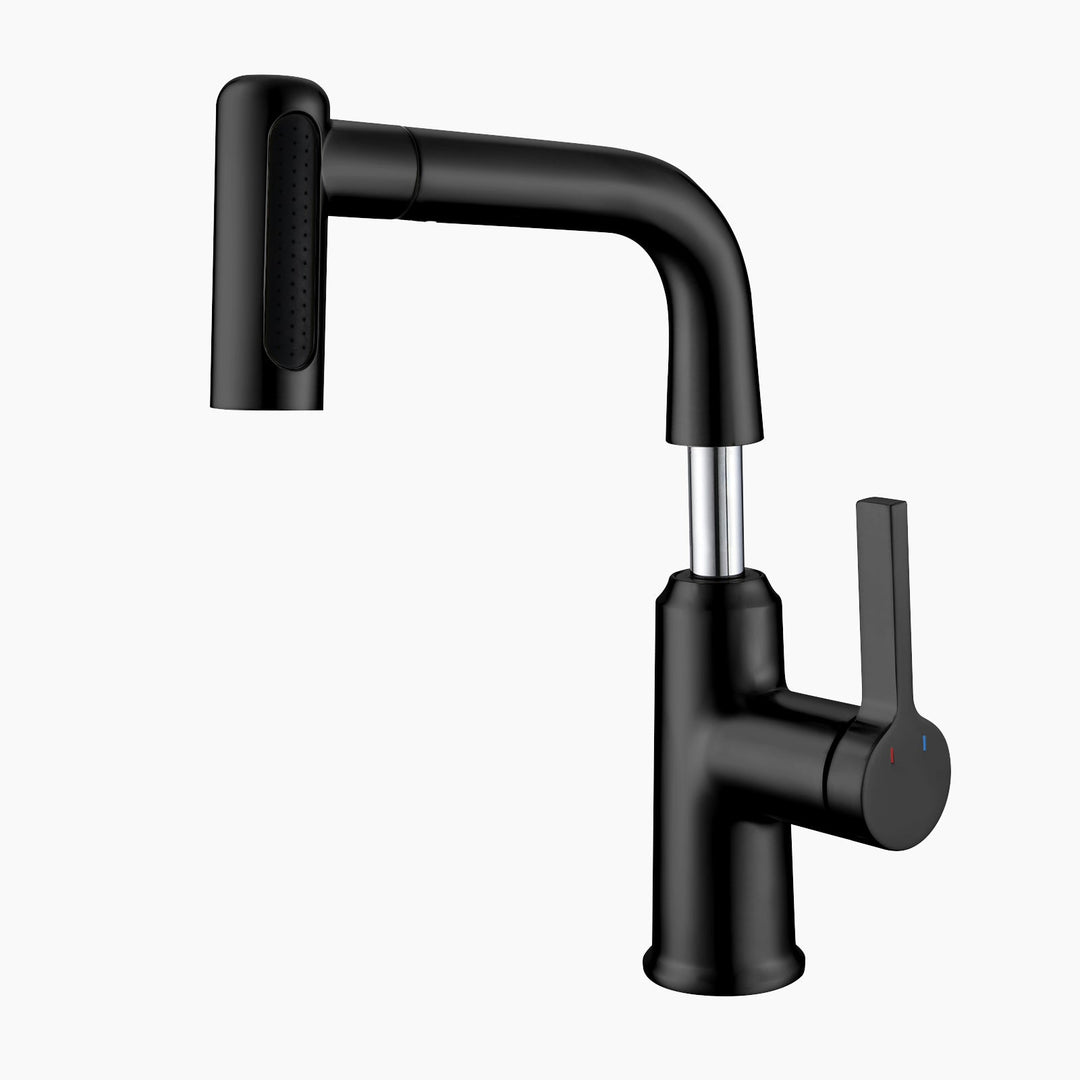 Lefton Single-Hole Pull-Out Liftable Bathroom Faucet-BF2209 – Lefton Home