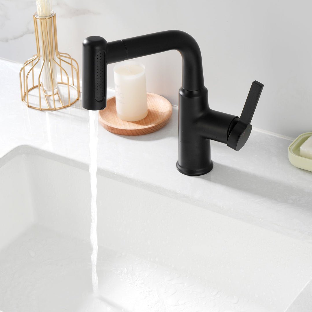 Lefton Single-Hole Pull-Out Liftable Bathroom Faucet-BF2209 – Lefton Home