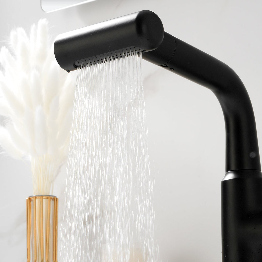 Lefton Single-Hole Pull-Out Liftable Bathroom Faucet-BF2209 – Lefton Home