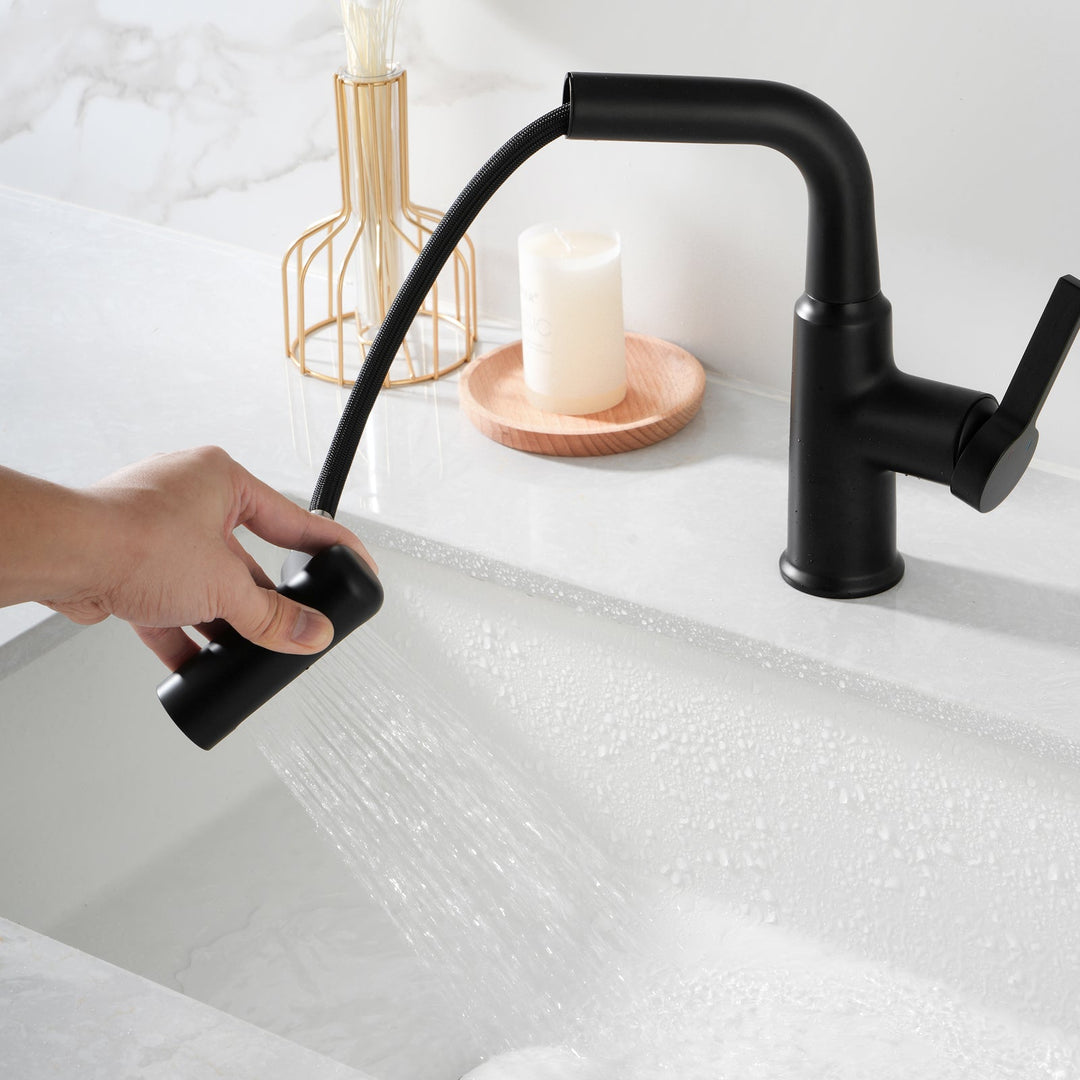 Lefton Single-Hole Pull-Out Liftable Bathroom Faucet-BF2209 – Lefton Home