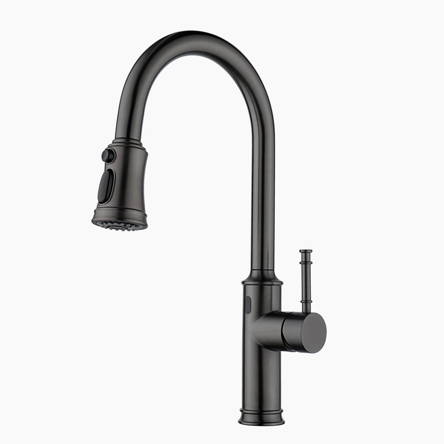 LEFTON Single Handle Kitchen Faucets With Sprayer – Lefton Home
