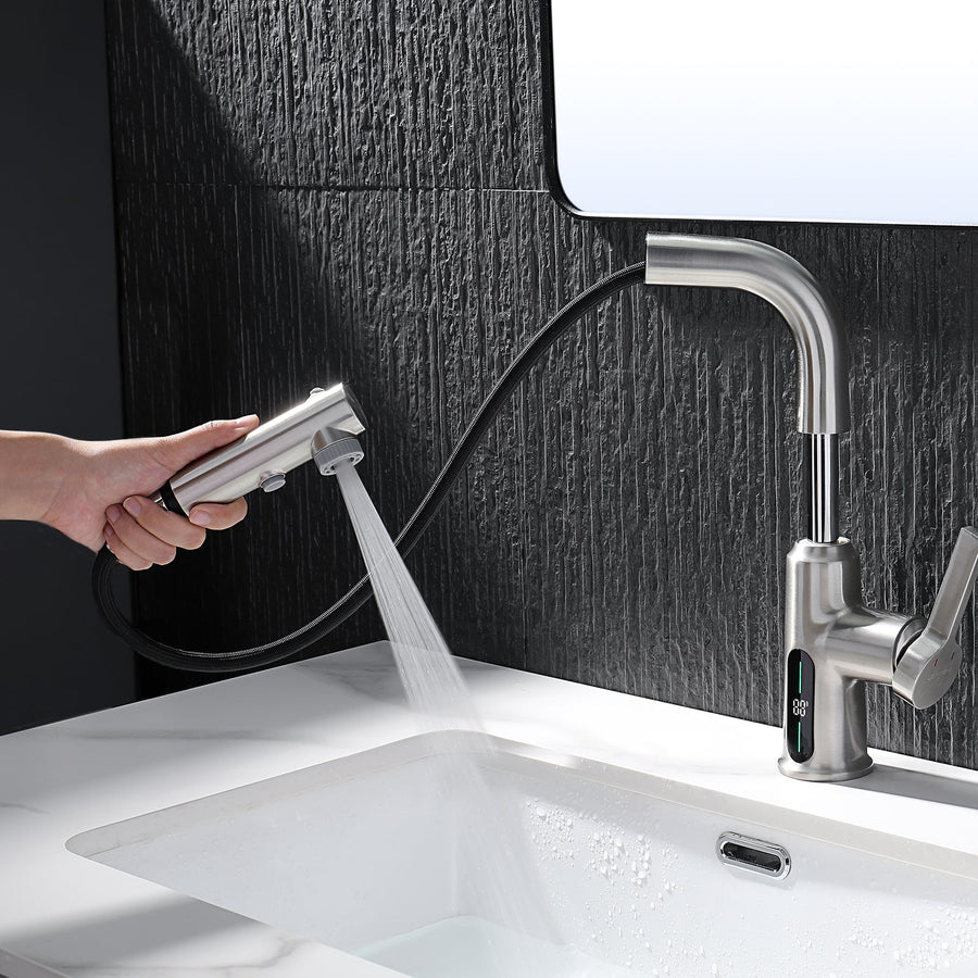 Lefton Latest Liftable Pull-Out Bathroom Faucet-BF2501 – Lefton Home