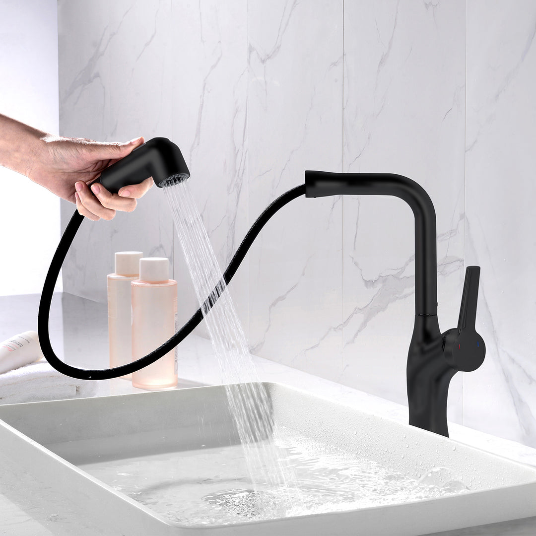 Recertified Lefton Modern Rotatable and Pull-Out Bathroom Faucet ...