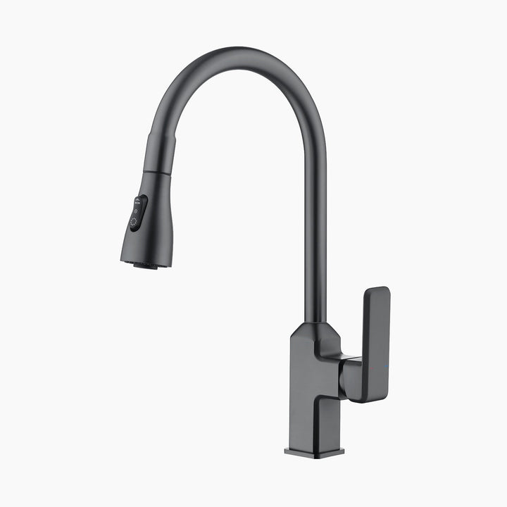 LEFTON Single Handle Kitchen Faucets With Sprayer – Lefton Home