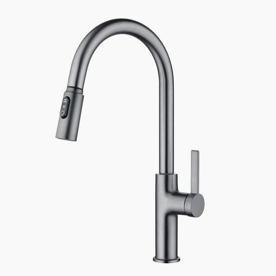 LEFTON Single Handle Kitchen Faucets With Sprayer – Lefton Home