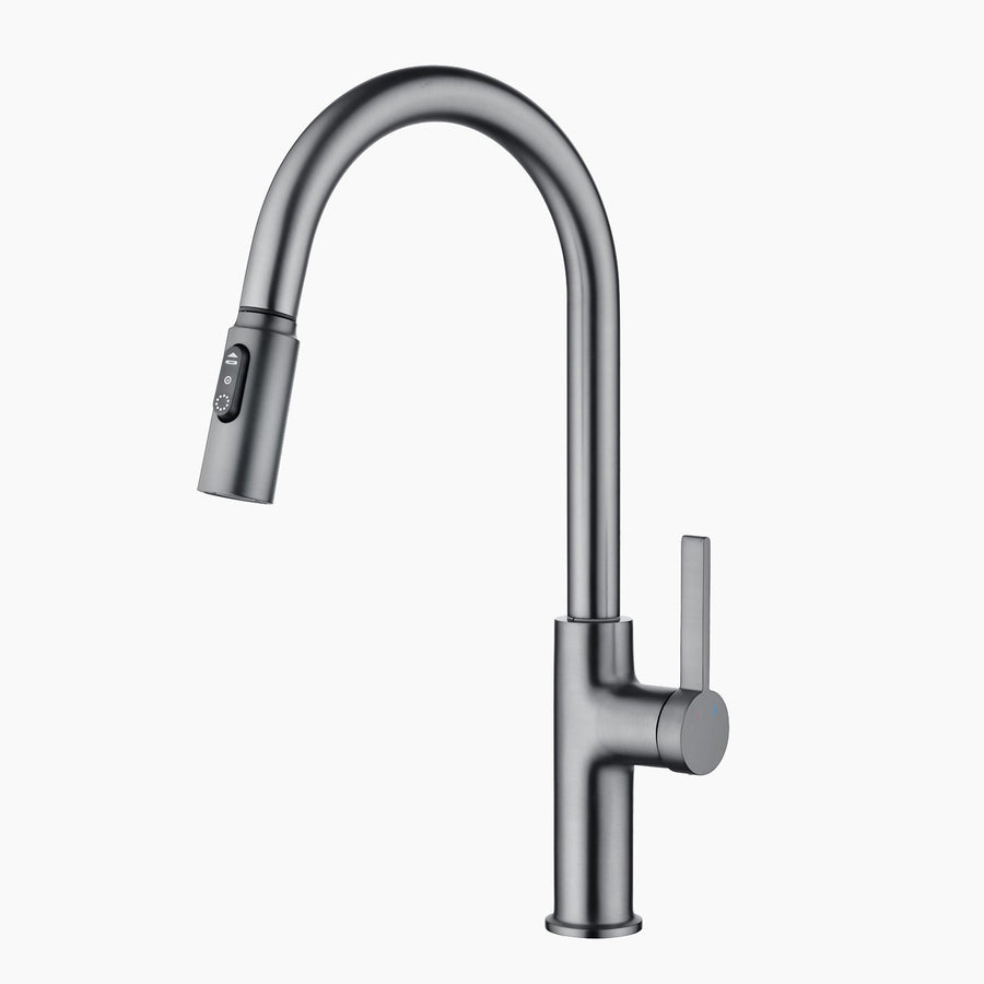 LEFTON Single Handle Kitchen Faucets With Sprayer – Lefton Home